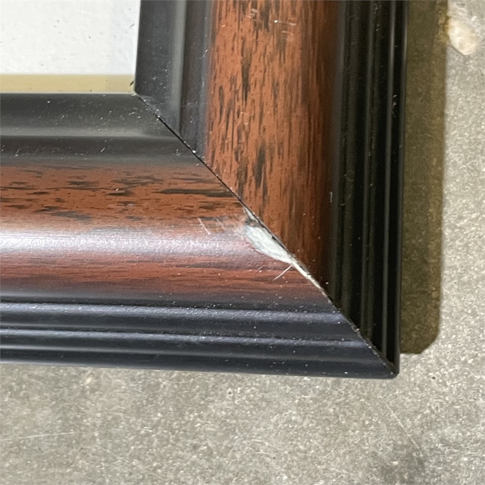 UW SWAP Online Auction - Lot of 19 Framed Lifestyle Photos (7C)