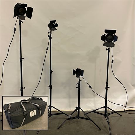 UW SWAP Online Auction - Lighting Kit