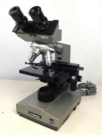 UW SWAP Online Auction